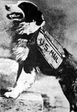A Dog Who Delivered the Mail - America Comes Alive