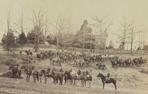 During the Civil War, Some Heroes Had Hooves - America Comes Alive