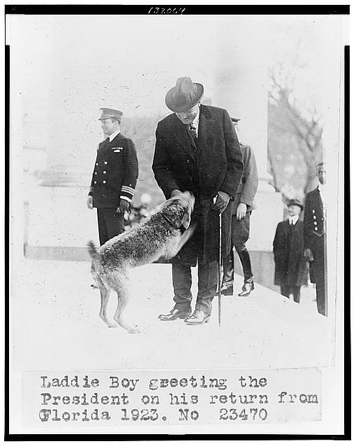 Laddie Boy, Warren Harding's Dog - America Comes Alive
