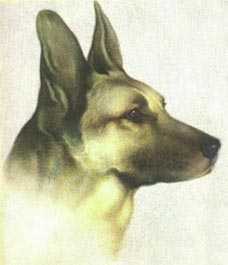 Strongheart: An Action-Adventure Star - America Comes Alive