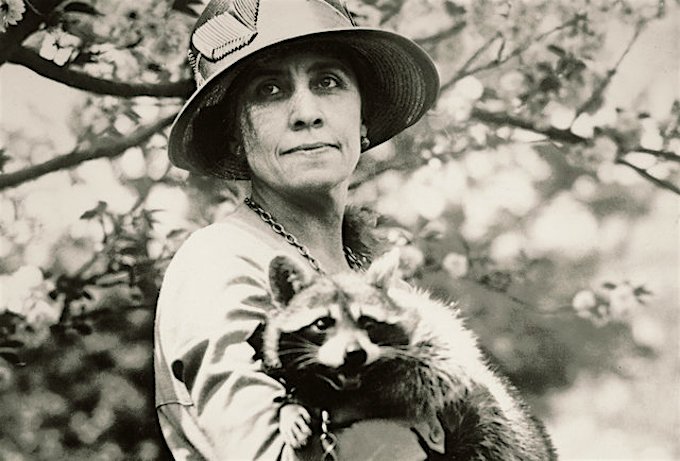 Who Provides the White House Turkey? - America Comes Alive