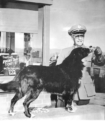 Shep, The Turnpike Dog - America Comes Alive